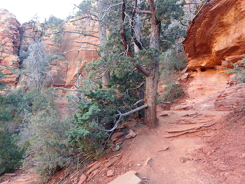 Devils Bridge Trail, Hiking Sedona AZ